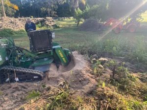 Tree Stump Removal - Machine Hire vs. a Professional